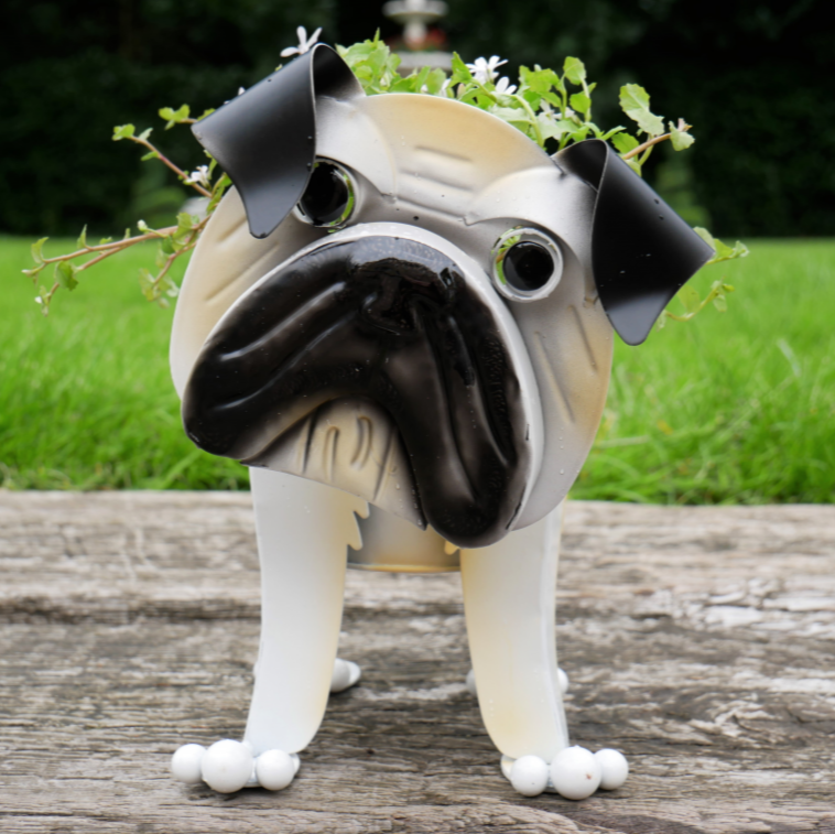 Pug Planter